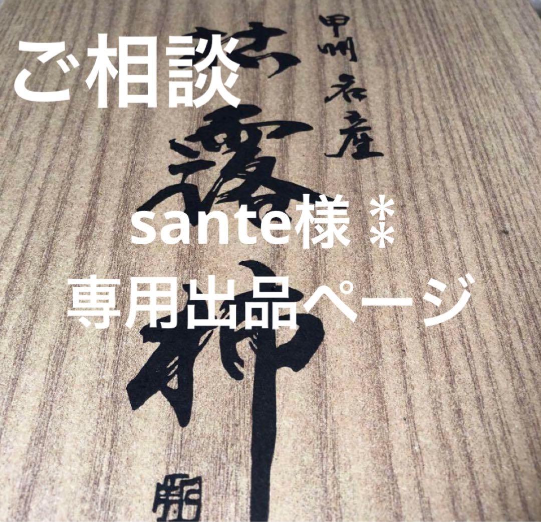 sante様⁑ご相談ページ