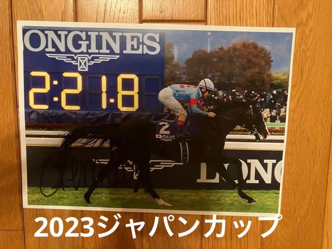 イクイノックス　鬣　たてがみ　2023ジャパンカップ　C・ルメール騎手直筆サイン