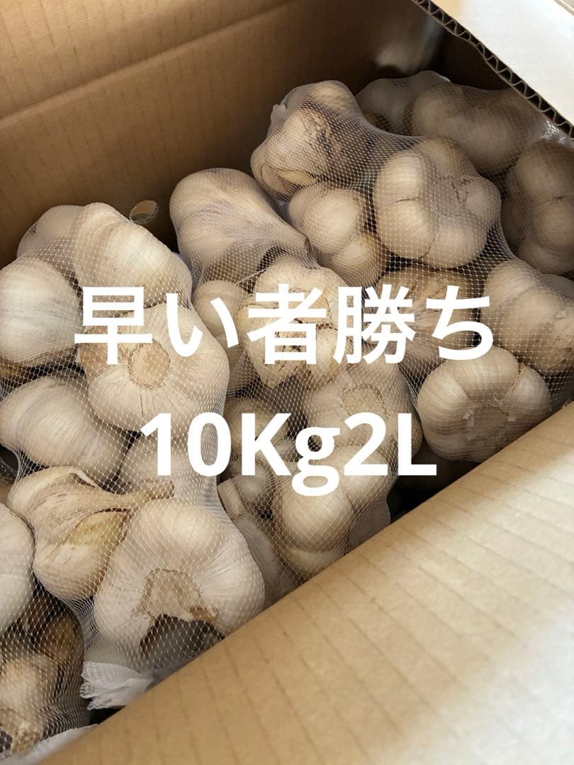 新物　青森県にんにく10Kg 2L