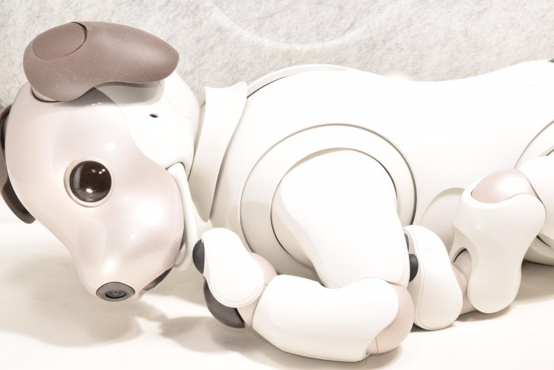 非常に綺麗 良品 ソニー SONY アイボ ERS-1000 AIBO 犬型