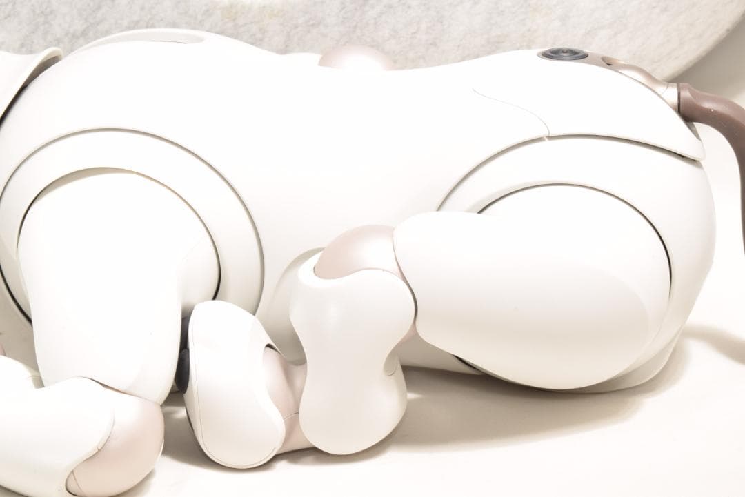 非常に綺麗 良品 ソニー SONY アイボ ERS-1000 AIBO 犬型
