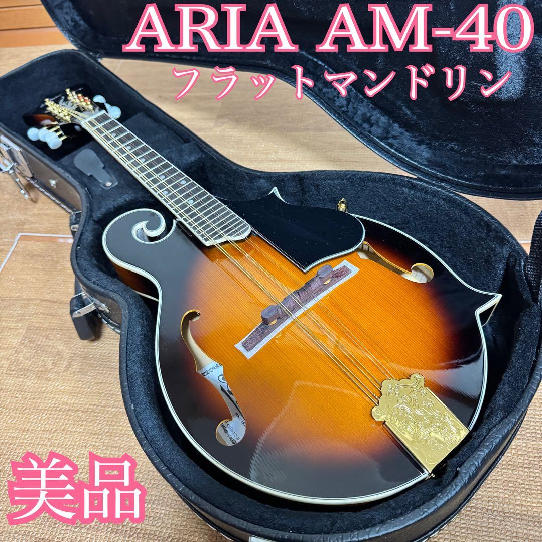 【美品】ARIA AM-40 フラットマンドリン ハードケース付き