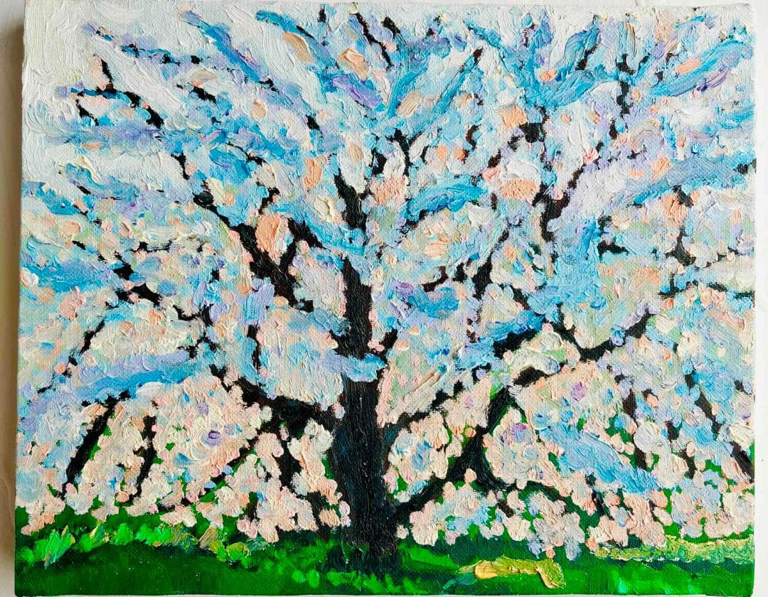 22×27㎝「朝の桜３」油彩・原画・F3
