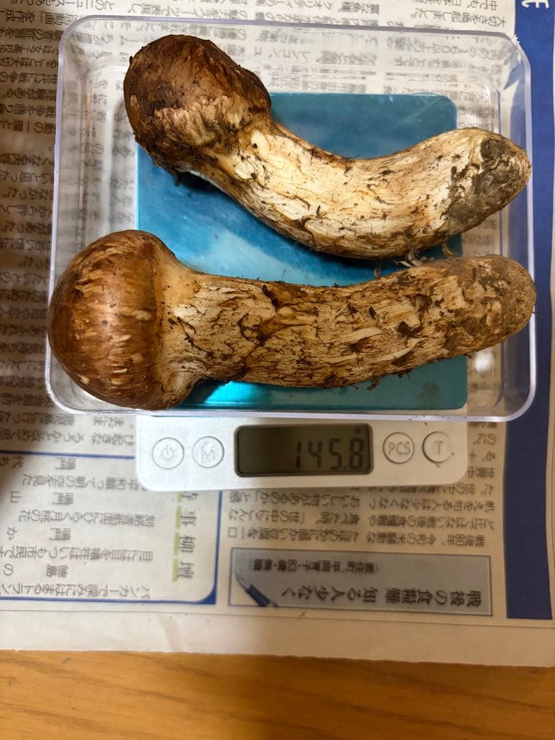 【極上】　国産松茸　　145g 徳島県産