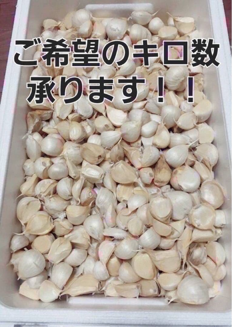【青森県産】最高級品種 新物ホワイト六片 にんにく バラ　10kg