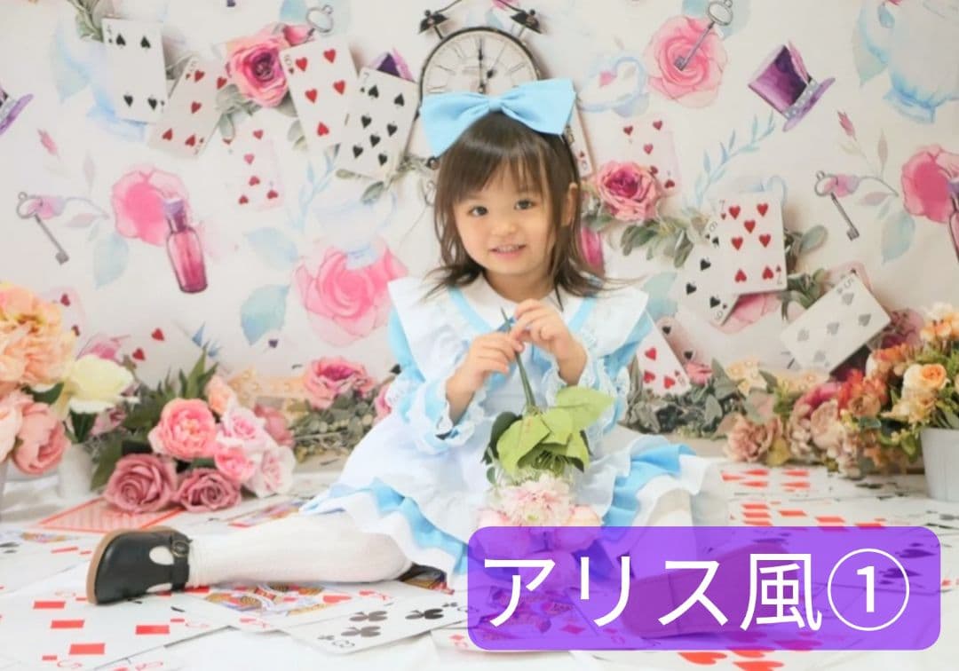 背景布【秋XE】サンプル80×120　ペット撮影用ブース　十五夜　お月見　宇宙