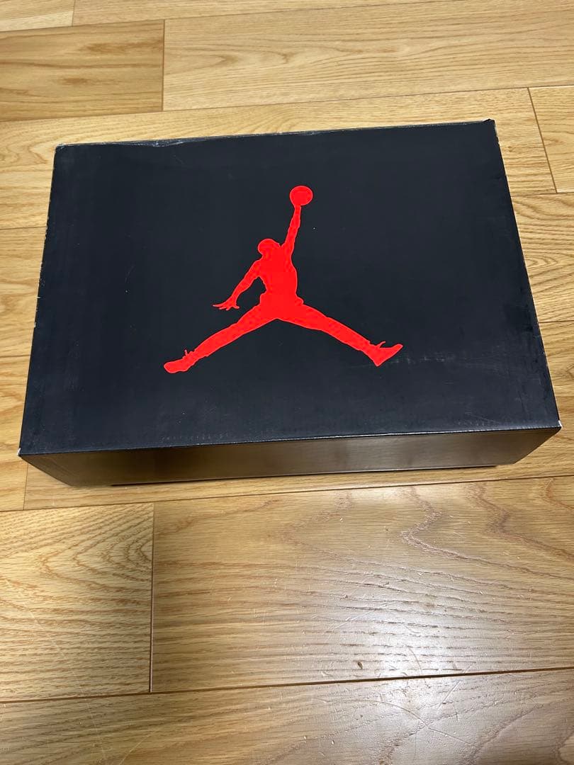 NIKE AIR JORDAN5 レトロトップ3 30cm