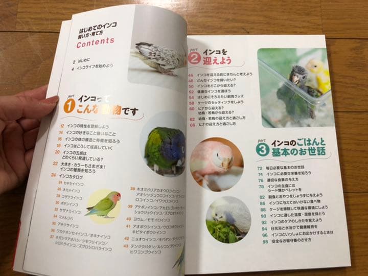 ☆ インコ　ケージ　ヒーター　オモチャ　本　色々スターターセット