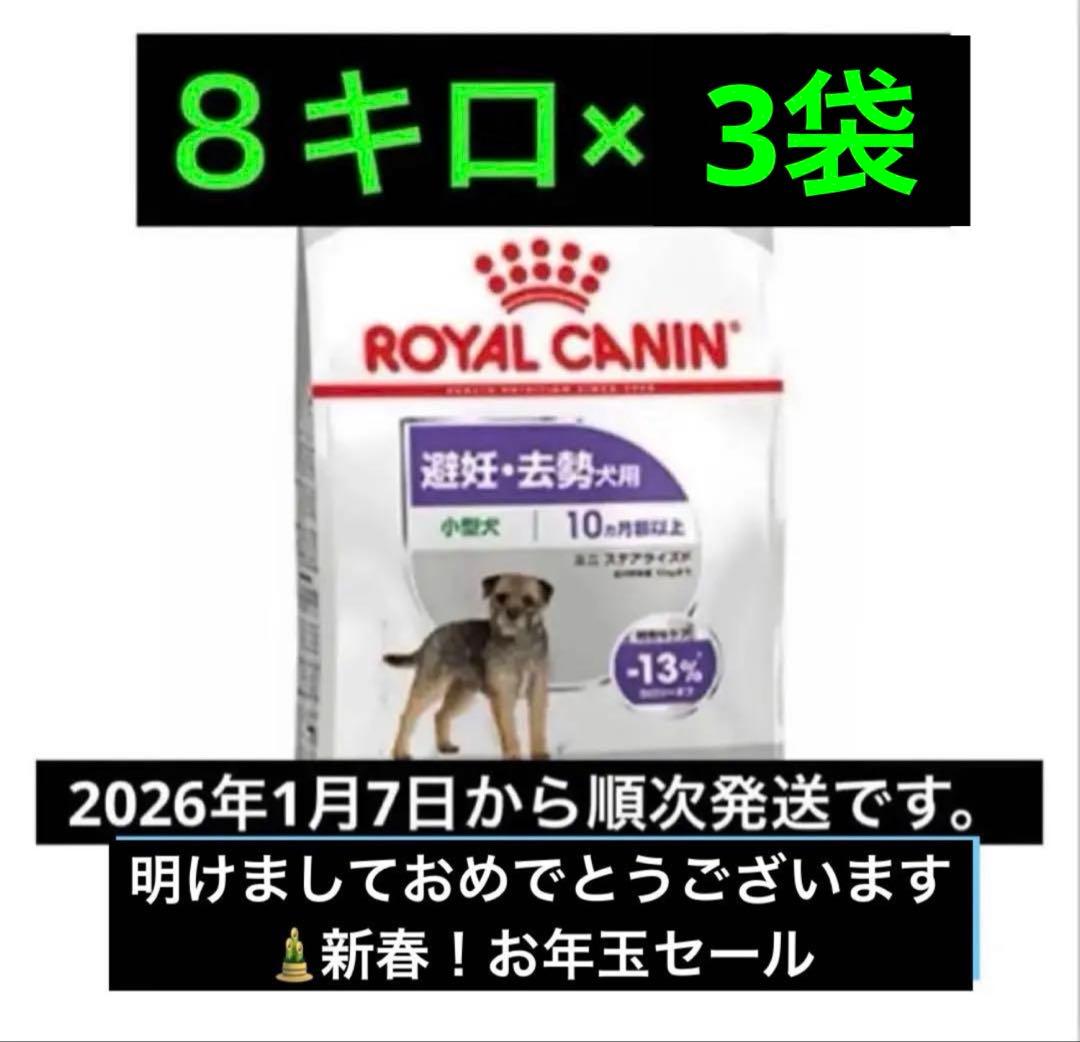  CANIN 小型犬用ドライフード 8キロ×3袋　ロイヤルカナン