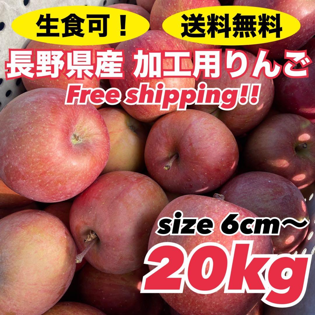長野県産 加工用りんご 摘果りんご サンふじ 20kg 大量 スムージーに 2