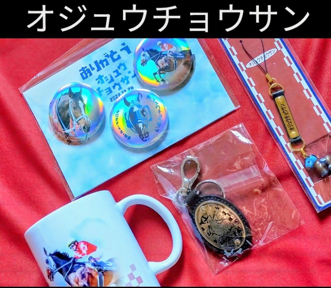 ◆　競馬　JRA　◆　オジュウチョウサン　◆革キーホルダー他◆グッズ４種セット◆