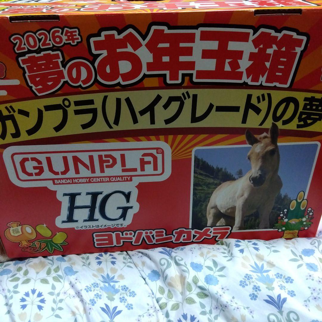 ガンプラ (ハイグレード)の夢 お年玉箱 2026年
