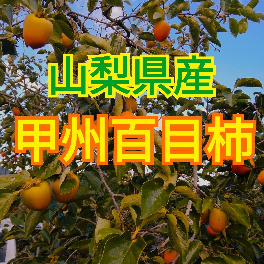 三匹のぶた様　山梨県産　干し柿・枯露柿用　渋柿　甲州百目柿　20kg