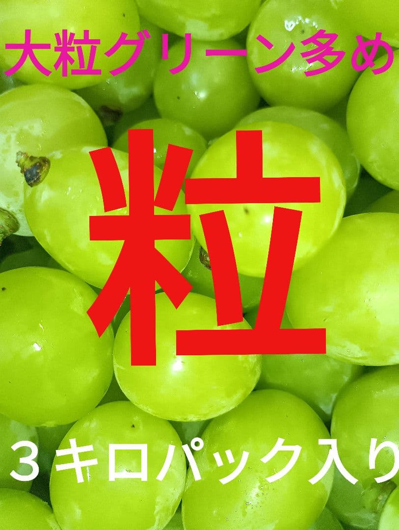 シヤインマスカット大粒グリーン多め入り３キロパック入りになります。