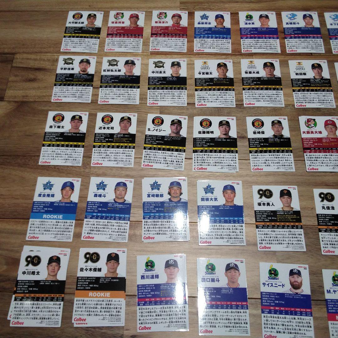2024プロ野球カードホルダー 48枚収納 103種類159枚 まとめ売り