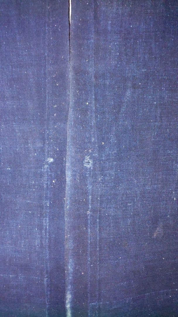 古布 万祝 まいわい アンティーク 筒がき 骨董 鶴 亀 襤褸 型染 大漁 希少