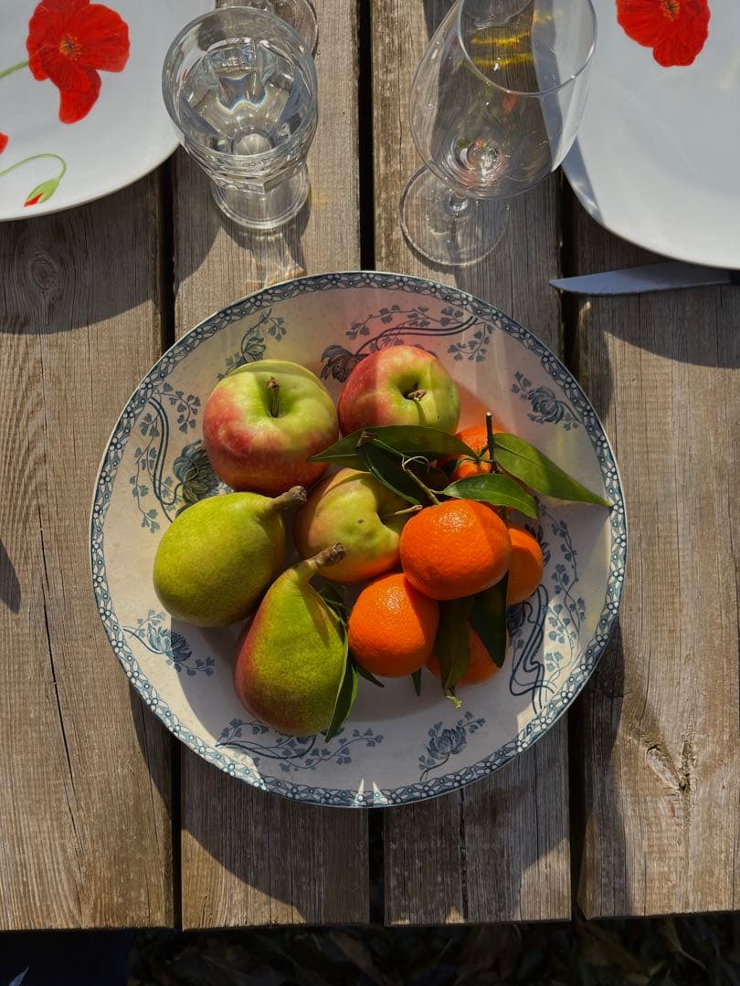 ◆フランスアンティーク｜残1希少大皿100年前サングミンヌプレート30cm花刻印