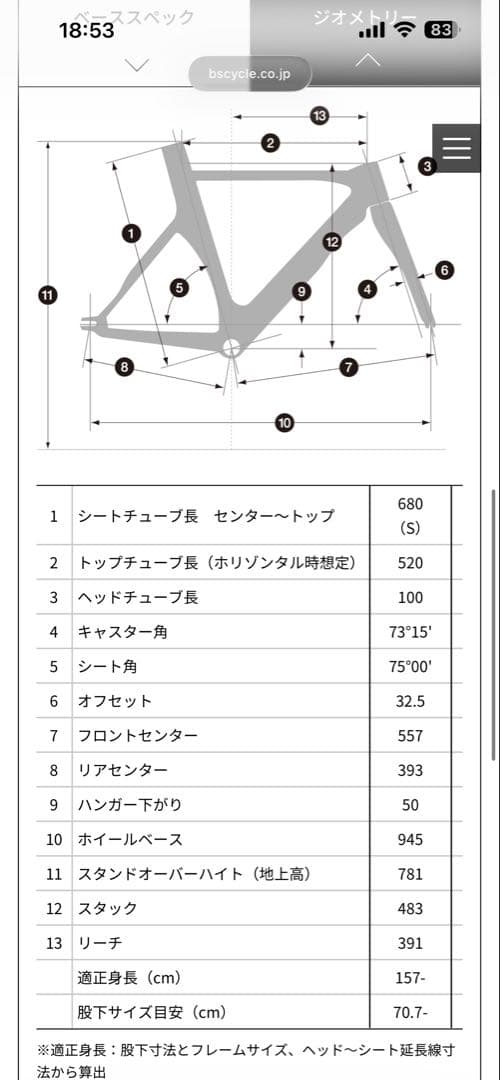 ブリヂストン　TS9