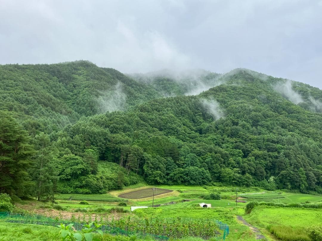 百花蜜 1000g 2本 長野県産 国産蜂蜜 生はちみつ セイヨウミツバチ a