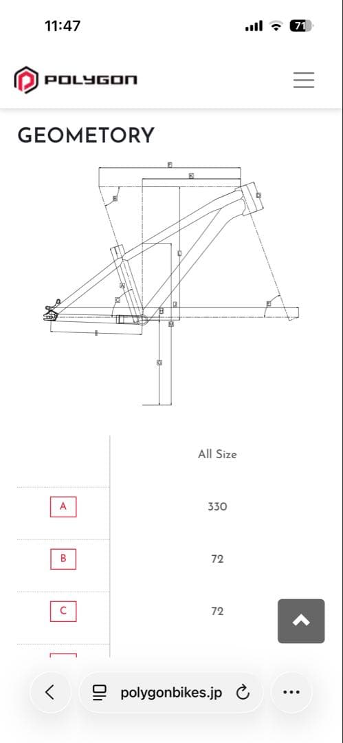 polygon TRID ダートジャンプ　フレーム DJ