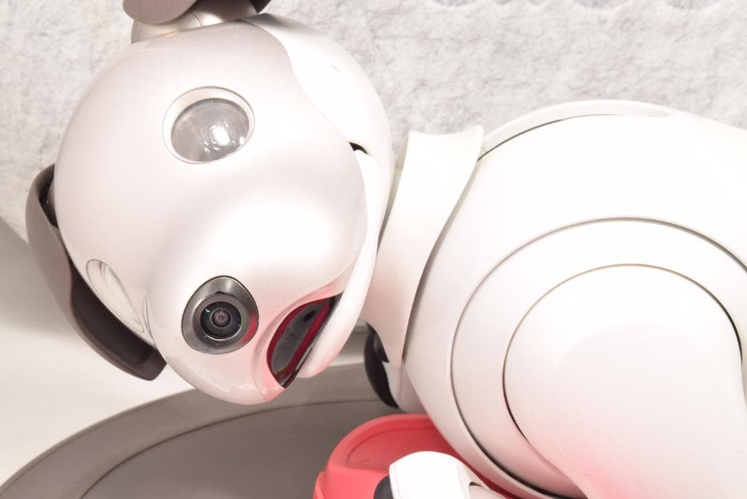 ソニー SONY アイボ ERS-1000 AIBO 犬型
