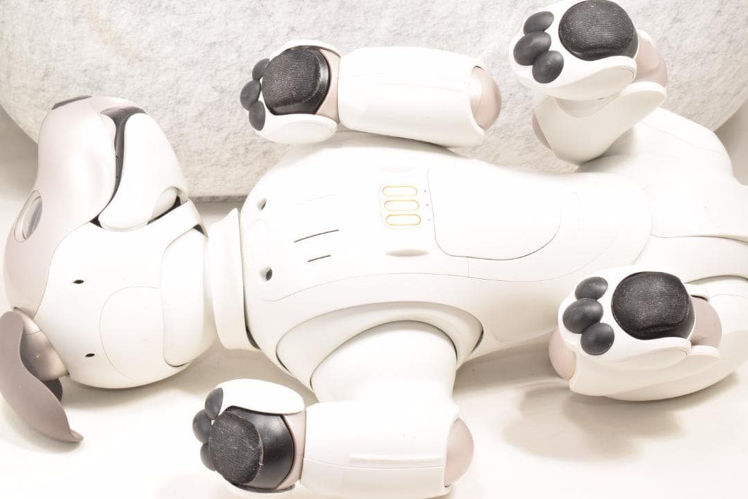 ソニー SONY アイボ ERS-1000 AIBO 犬型