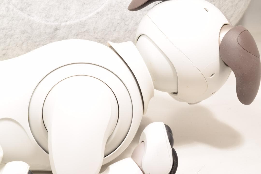 ソニー SONY アイボ ERS-1000 AIBO 犬型