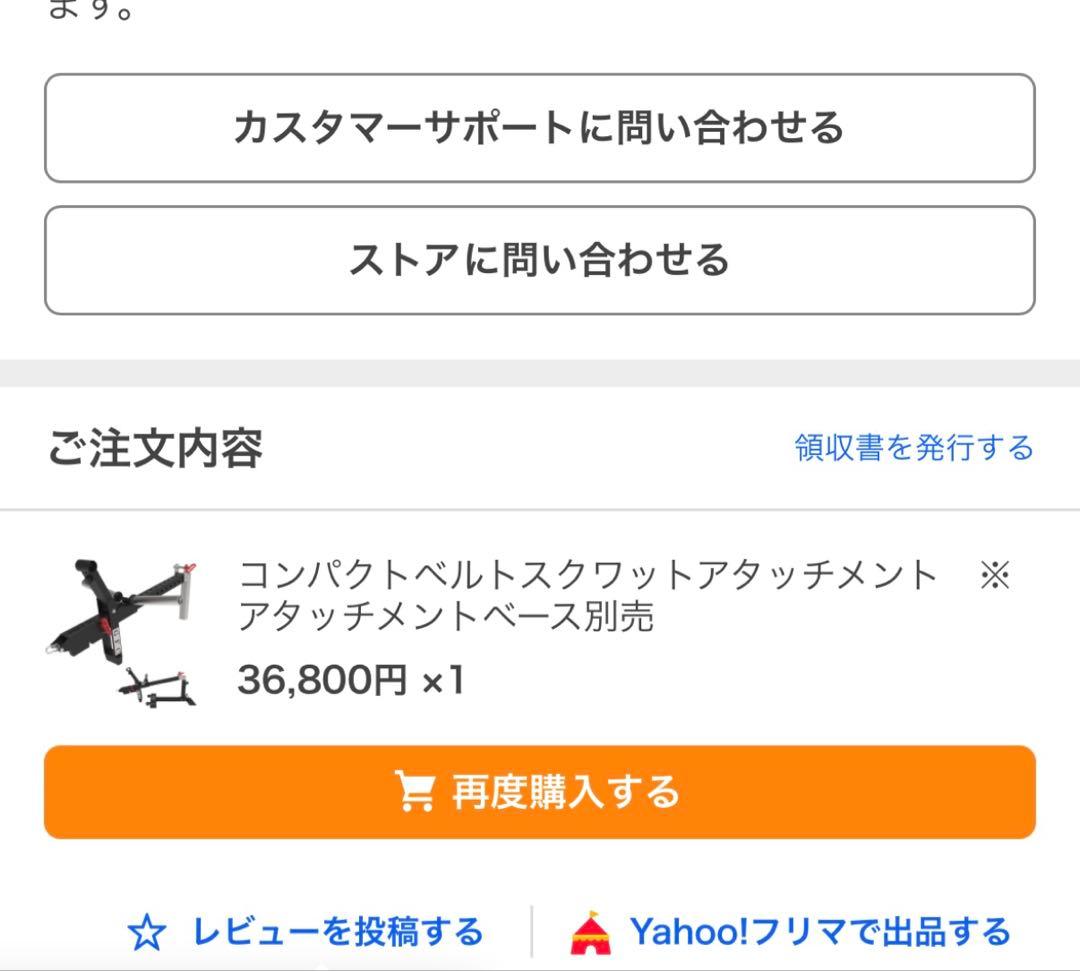 飛延　新品　gfc コンパクトベルトスクワット　ディップスベルトとのセット