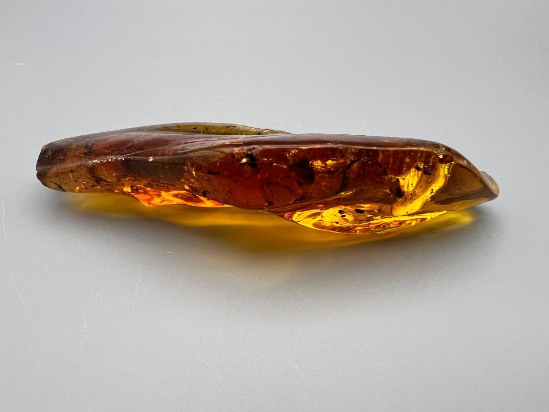 虫入り琥珀　蚊　蟻　多種多様な虫を大量内包　バルティックアンバー　バルト海沿岸