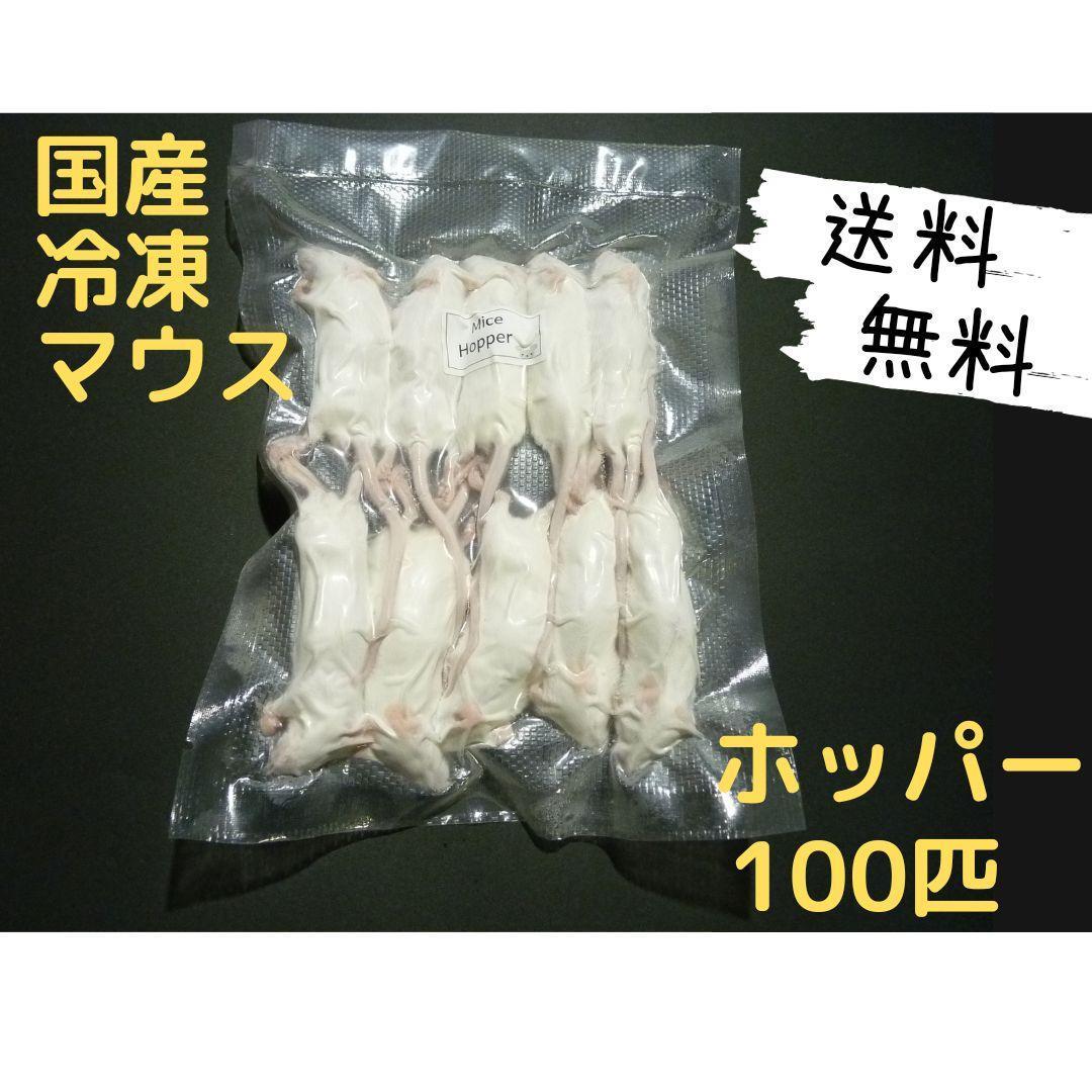 国産冷凍マウス ホッパー 100匹 (送料無料一部地域発送不可)