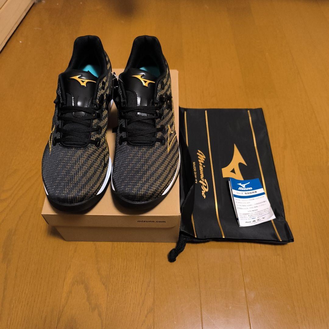 MIZUNO ウエーブ ライトレボラン プロ 28.0cm