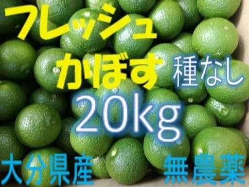 みぃ29さまご予約専用 大分県名産 フレッシュかぼす メガ盛 20kg 種なし