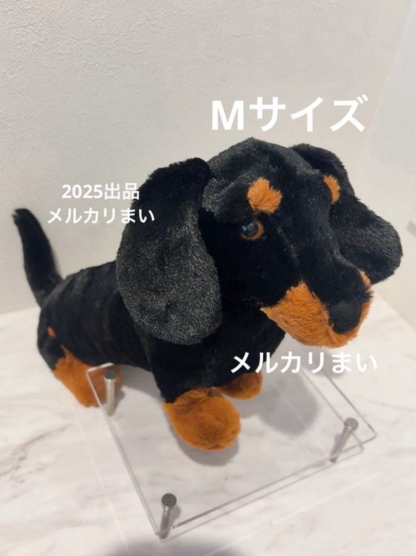  Freddie Sausage Dog ダックスフンド　犬