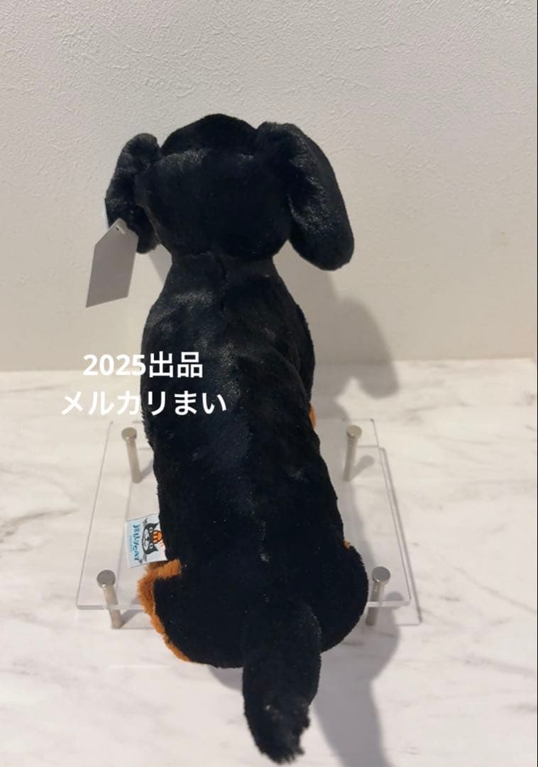  Freddie Sausage Dog ダックスフンド　犬