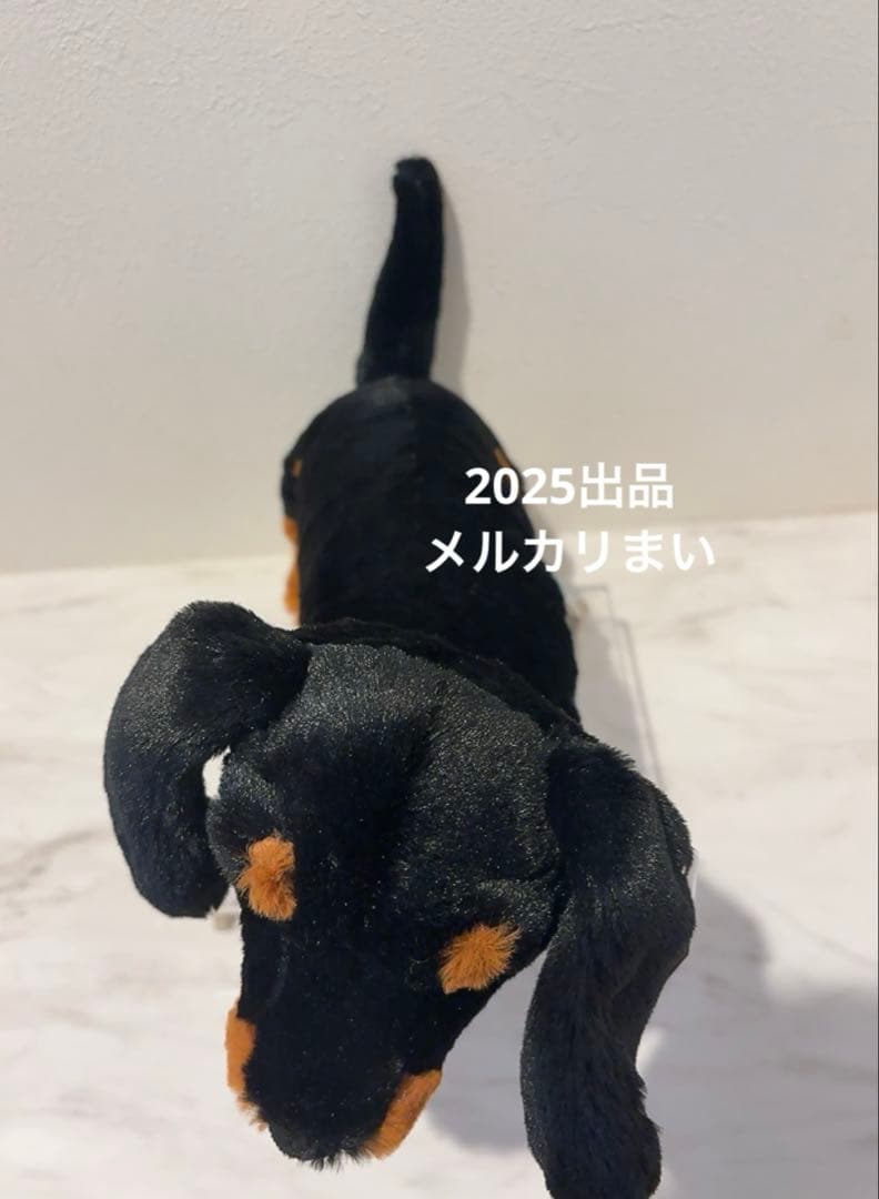  Freddie Sausage Dog ダックスフンド　犬