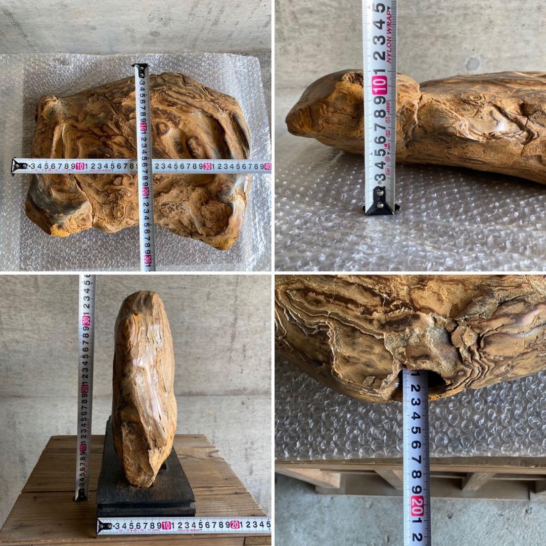 木化石 珪化木 天然 大型 置物 オブジェ 花器 フラワーベース 台座付 レトロ