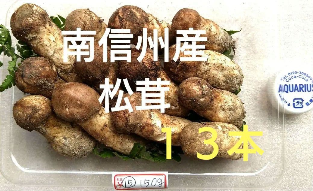 南信州産松茸約150g（パック込み）