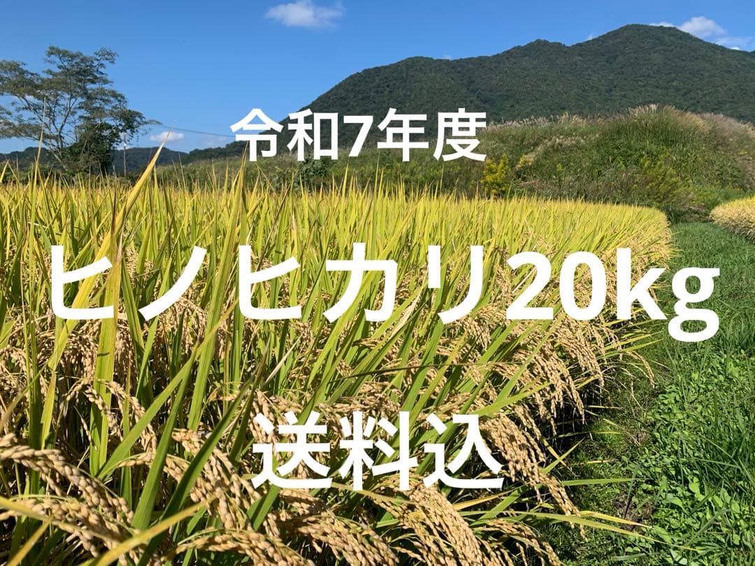 令和7年度　新米　ヒノヒカリ20kg(玄米)送料込　農家保有米