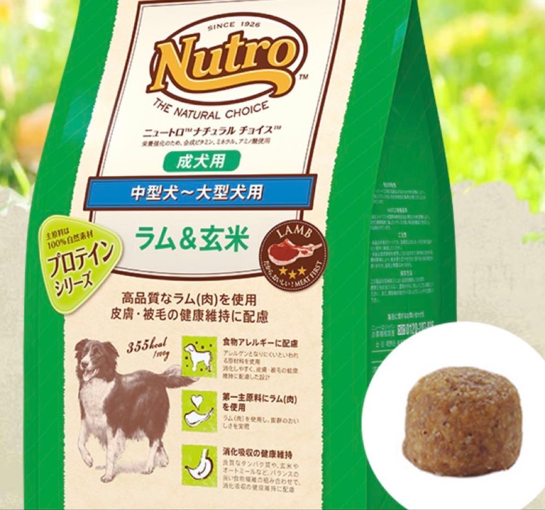 Nutro ラム&玄米 中型犬~大型犬用 14kg