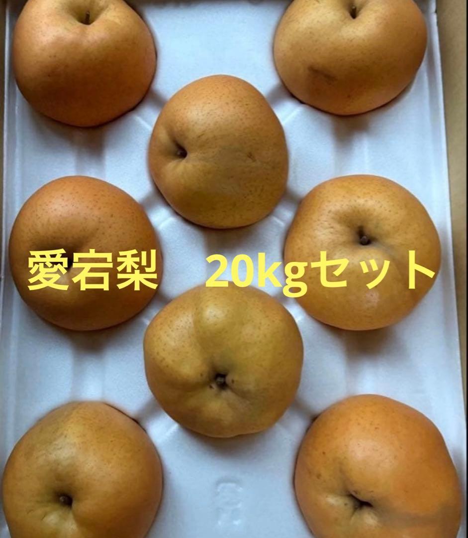 ジューシーです　愛宕梨　20kg