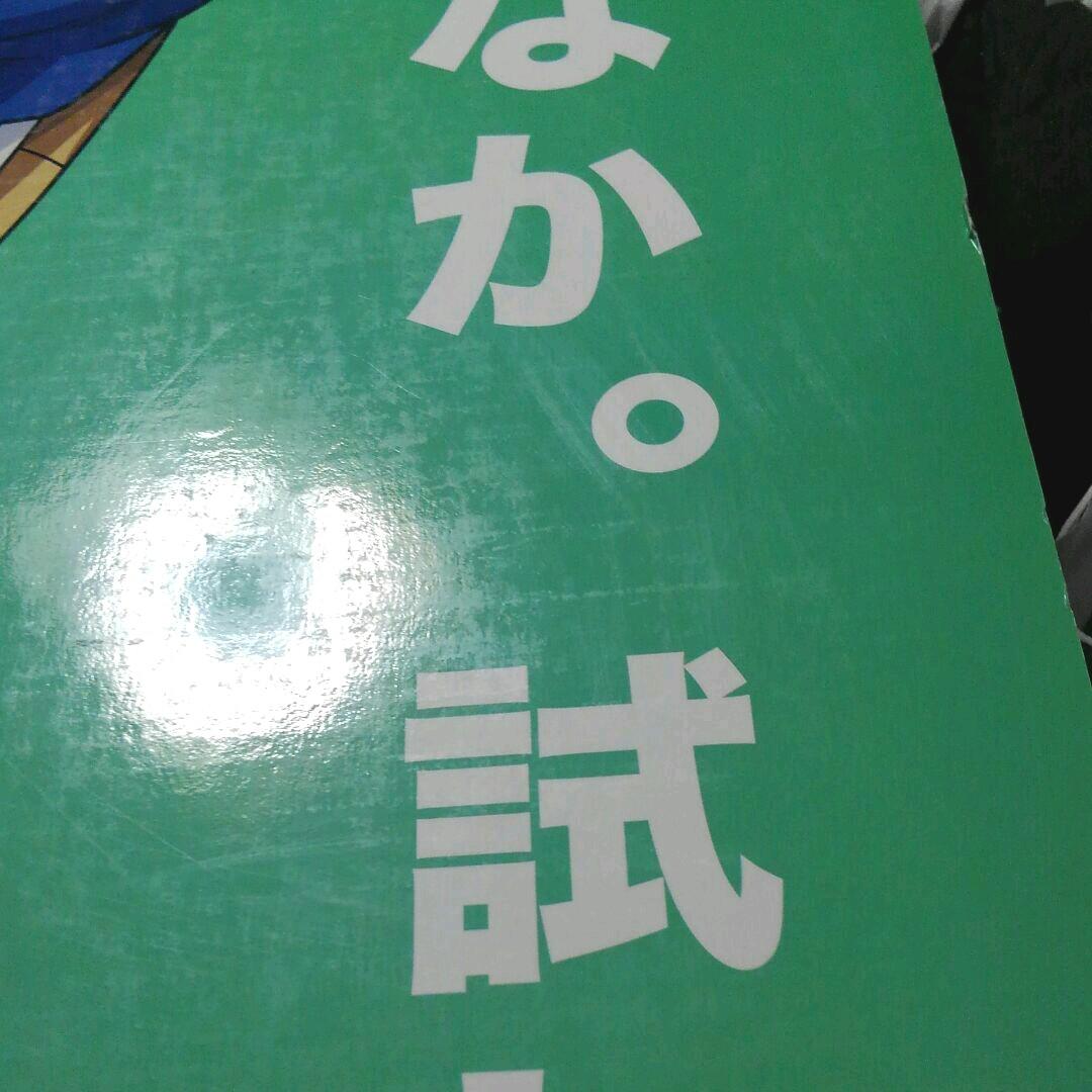 DRAGON BALL  ドラゴンボール　ベジータ　全身ボードパネル