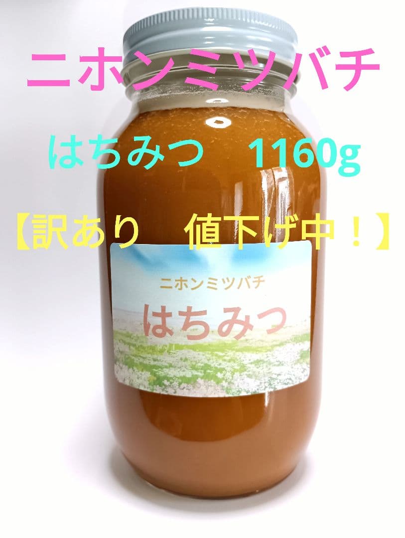 【訳あり】ニホンミツバチ　はちみつ　ハチミツ　信州産　非加熱　1160g