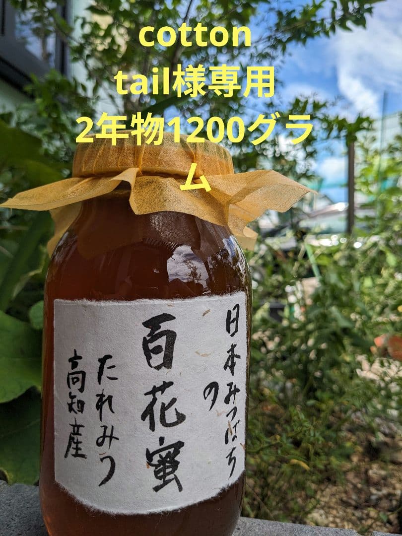 日本ミツバチ 蜂蜜 令和7年度 採れたて　たれ蜜　2年もの1200g 非加熱