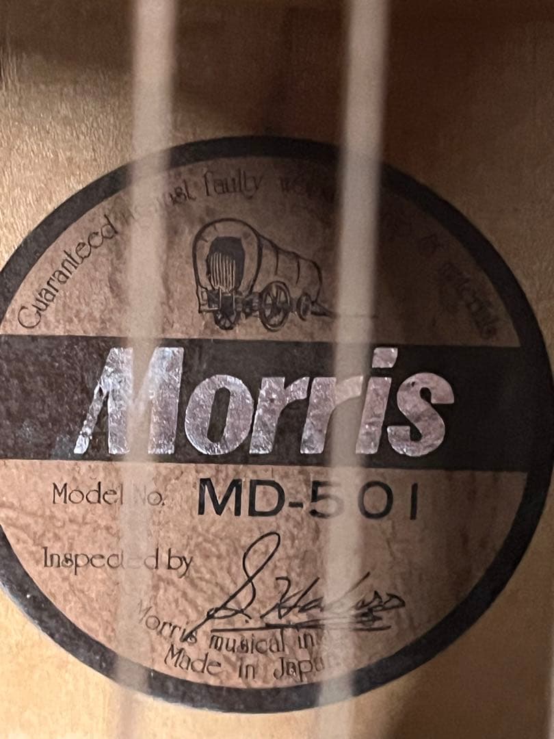 Morris モーリス　アコースティックギター MD-501 ドレッドノート