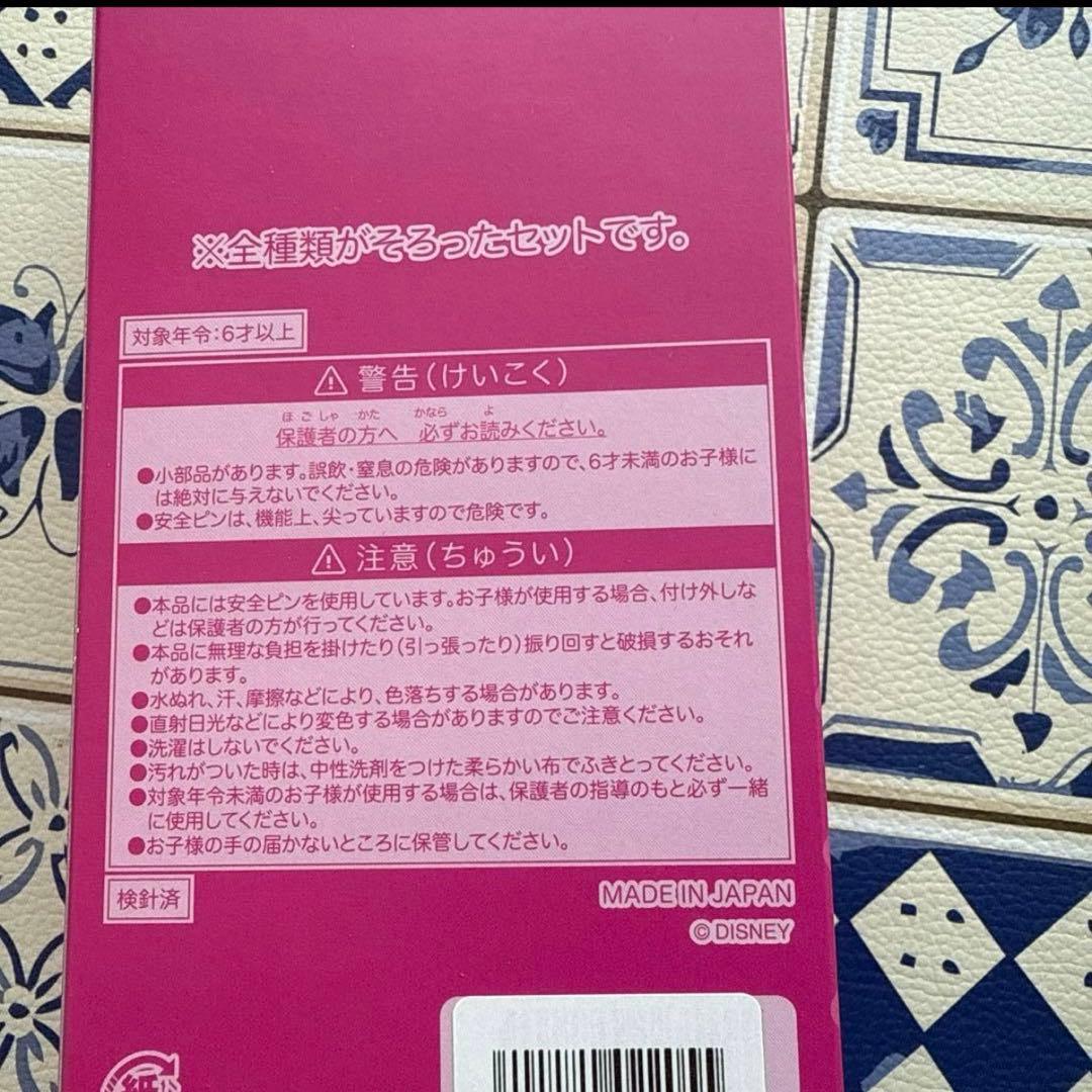 ディズニーパルパルーザ　ミニーのファンダーランド　ワッペン　全種