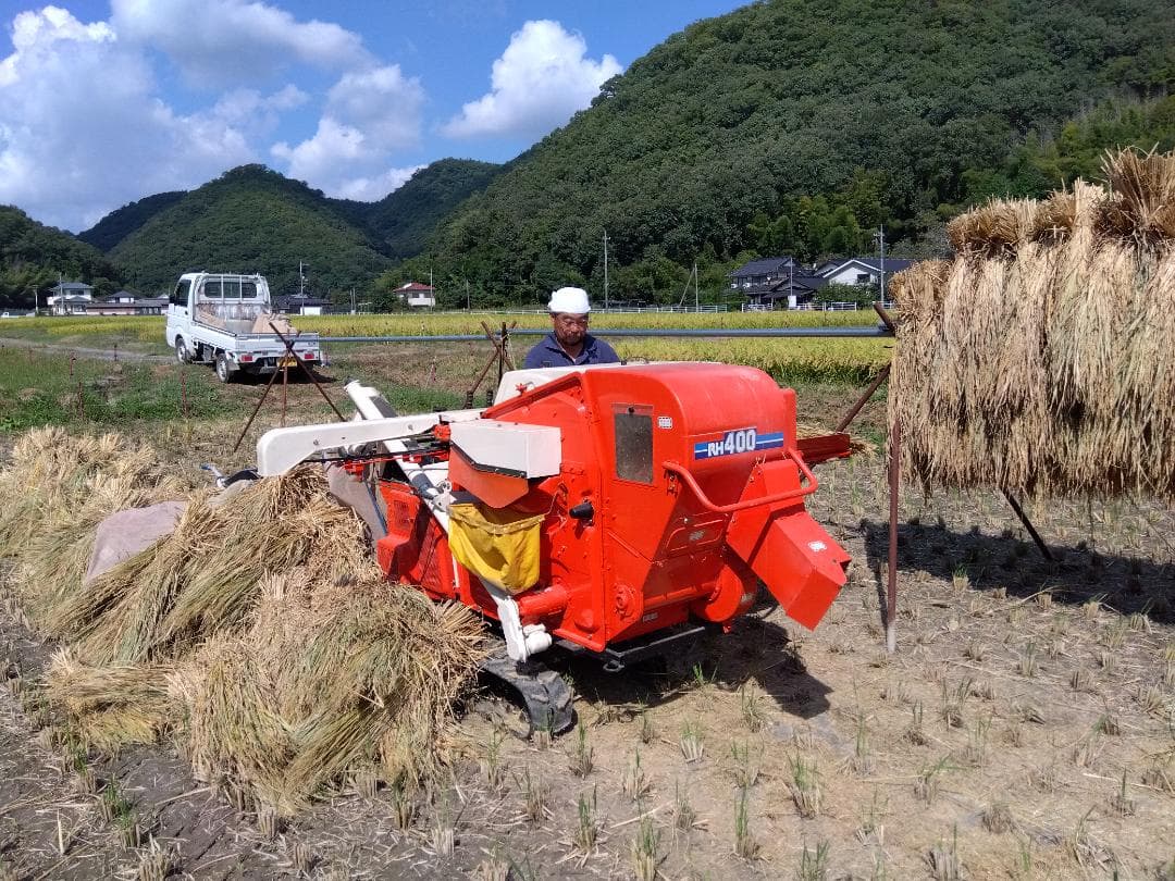 令和6年産　プリンセスサリー　玄米　10㎏　バスマティの香り　岡山県産
