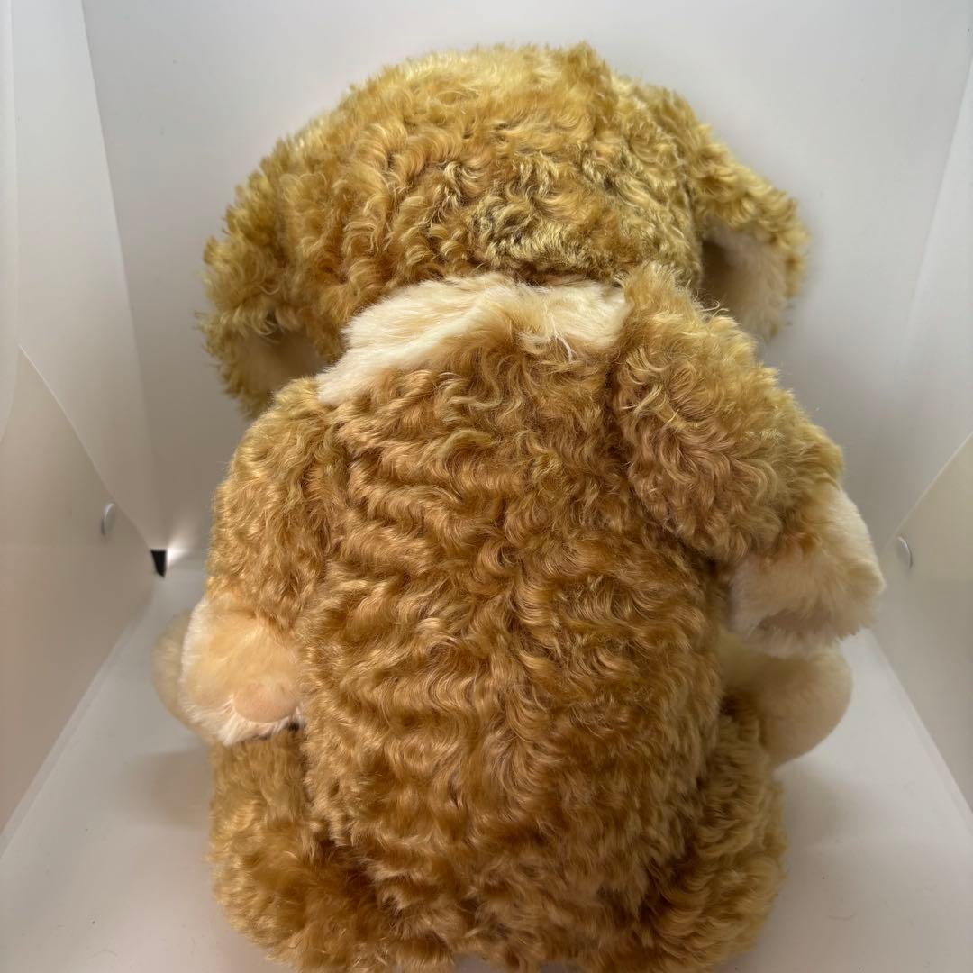 テディベアドッグくま ぬいぐるみ teddy bear dog