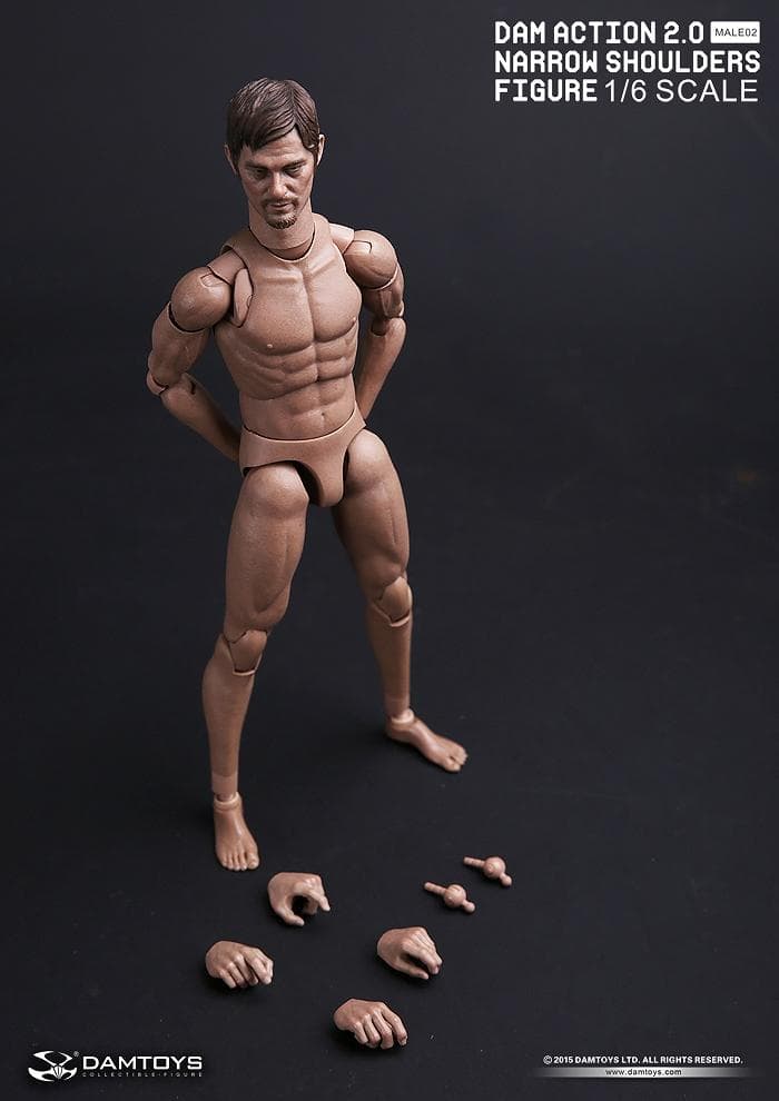 DAMTOYS　NARROW SHOULDERS BODY 1/6 DARYL