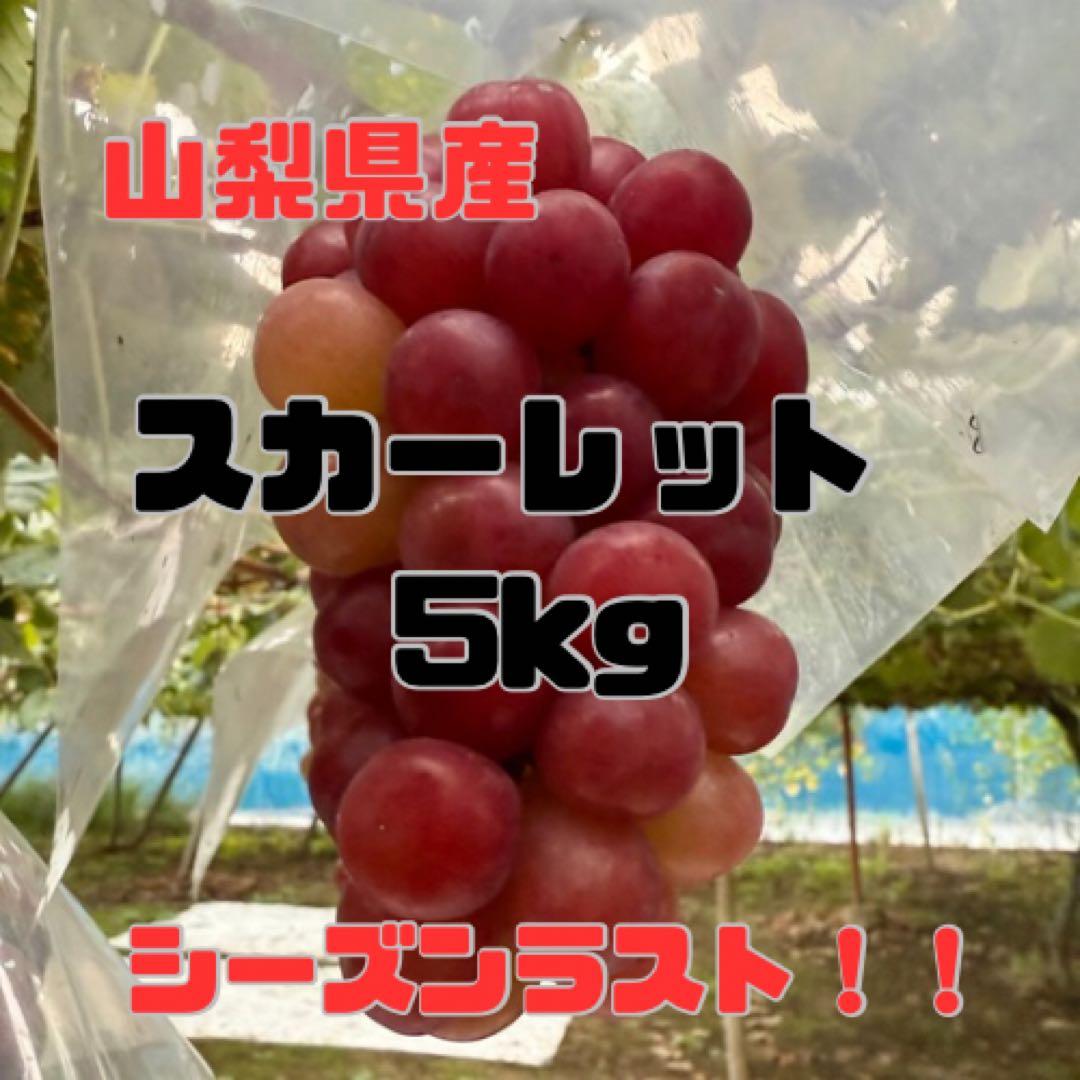 最終値下げ！16日発送！本日お昼12時まで受付【山梨県産】スカーレット 5kg