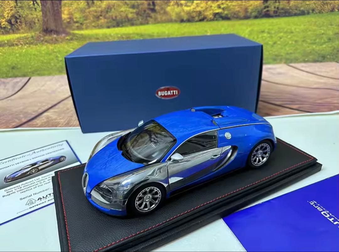 Bugatti Veyron 1/18スケルモデルミニカー
